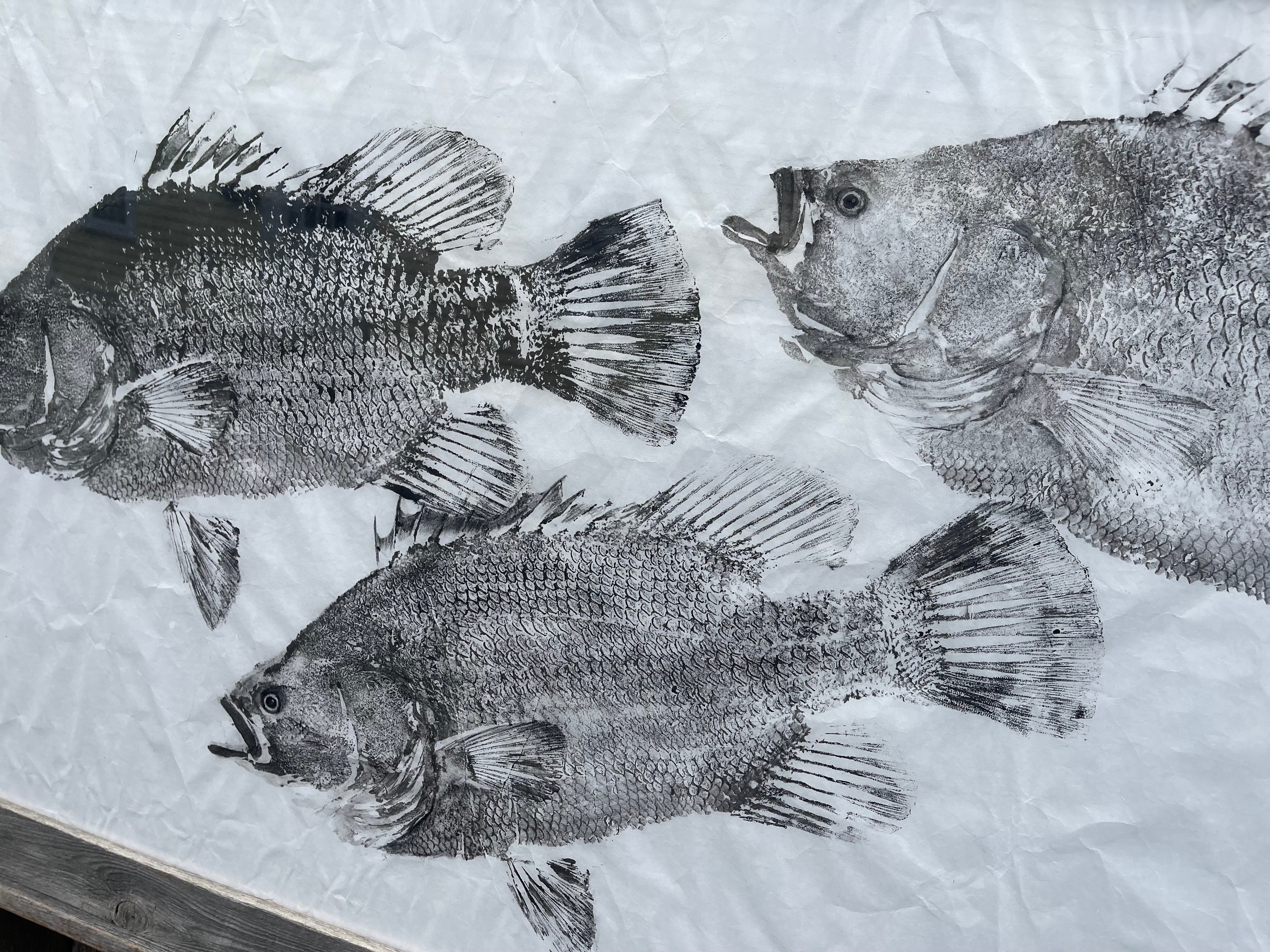 Original Gyotaku Artwork – fishedimpressions