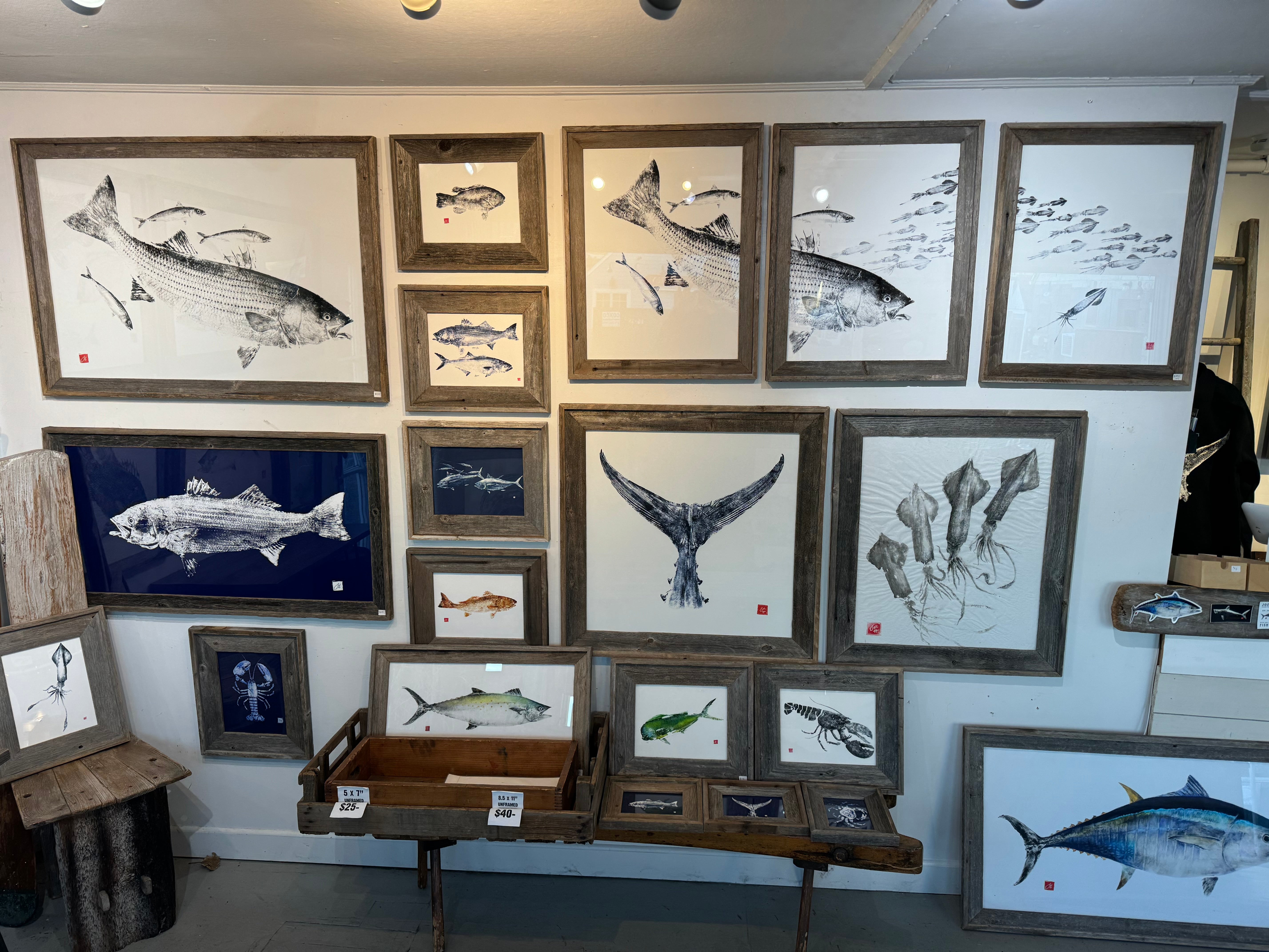 Original Gyotaku Artwork – fishedimpressions
