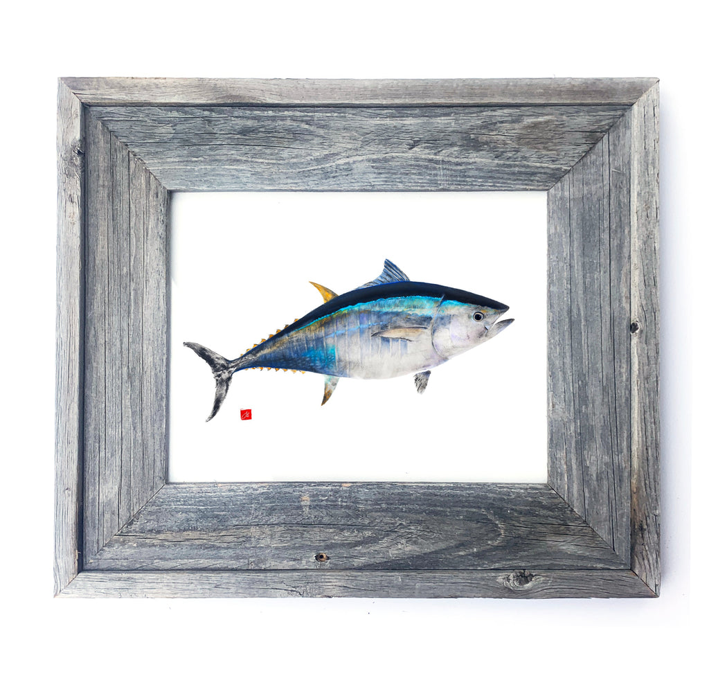 16 x 13 Framed Bluefin Tuna (Copy) – fishedimpressions