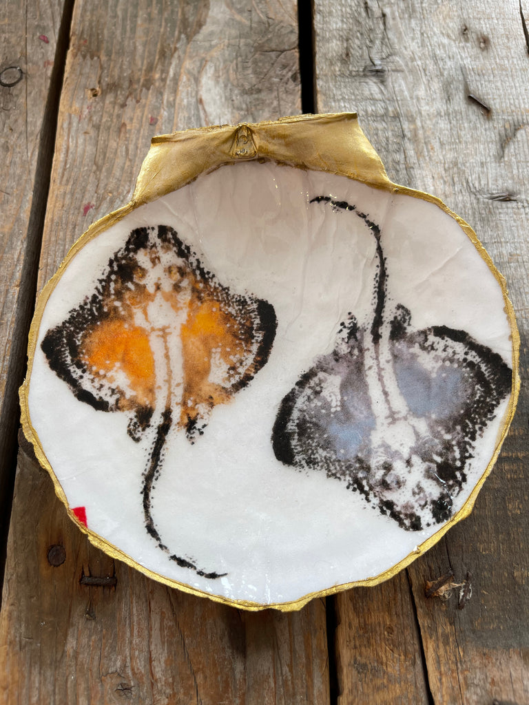Skate on scallop shell – fishedimpressions