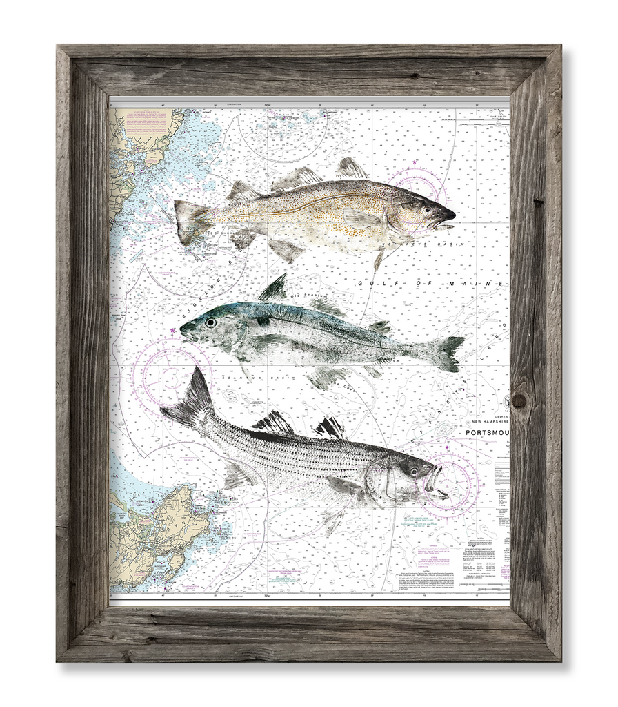 Cape Ann to Portsmouth with cod, haddock and Striped Bass ...