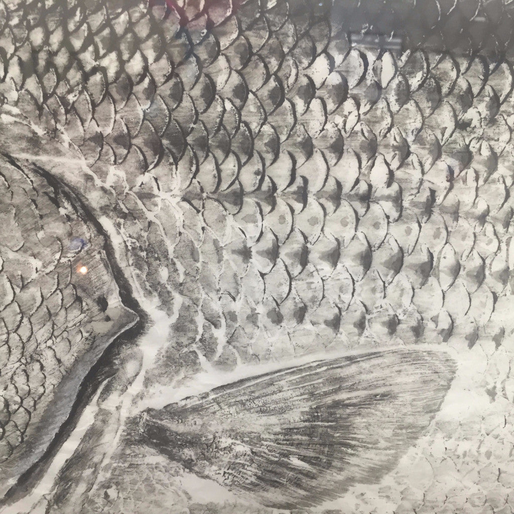 Original Gyotaku Artwork – fishedimpressions
